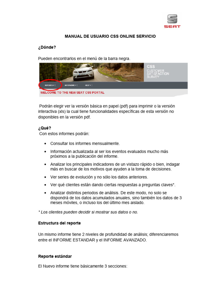 Anexo 2 Manual CSS SERVICIO | PDF