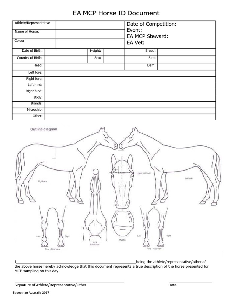 EA MCP Blank Horse ID Form 0 | PDF