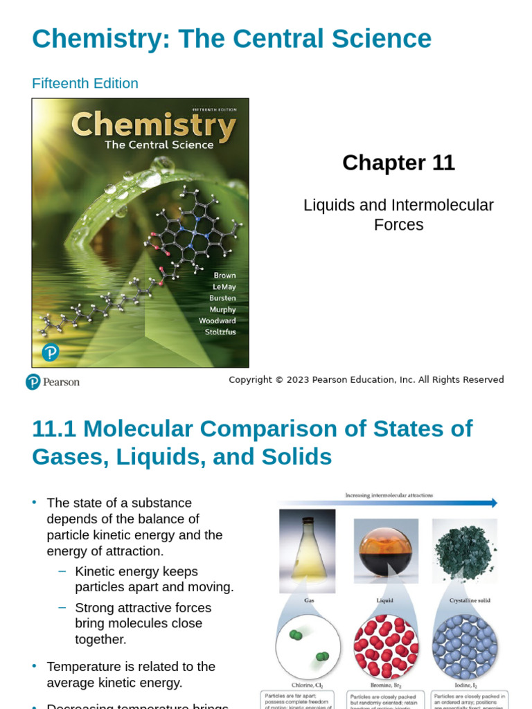 Blb15 Chem Ch11 Lecture PPT Accessible | PDF