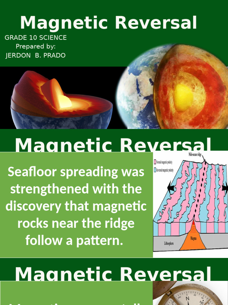 Magnetic Reversal | PDF