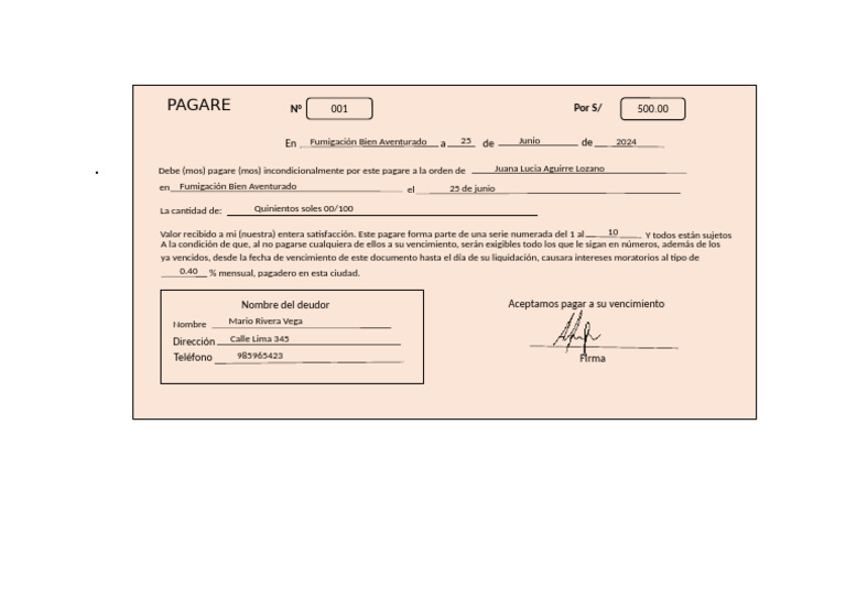 pagare empresarial alisom | PDF