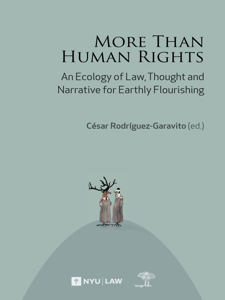 More Than Human Rights Book | PDF