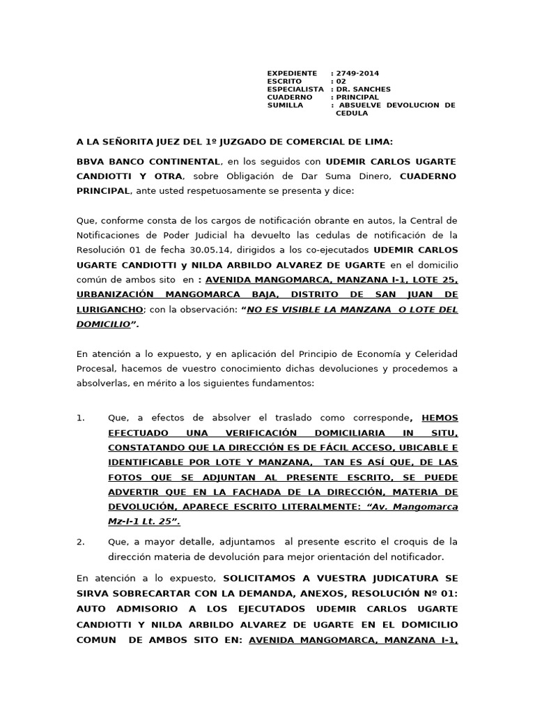 Absuelve Devolucion de Cedula | PDF