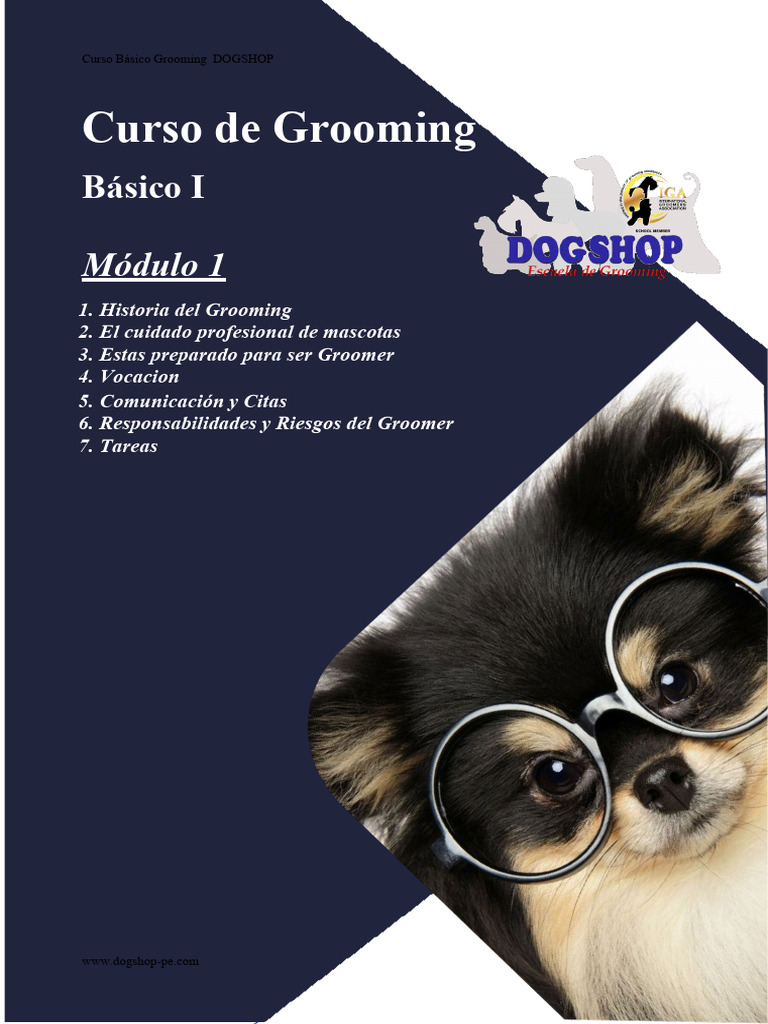 Curso de Grooming | PDF