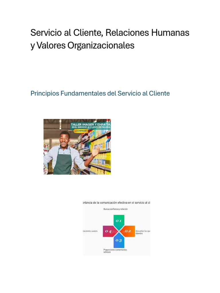 Servicio Al Cliente | PDF