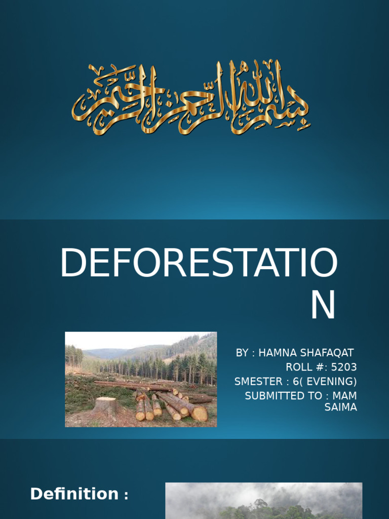 Deforestation | PDF