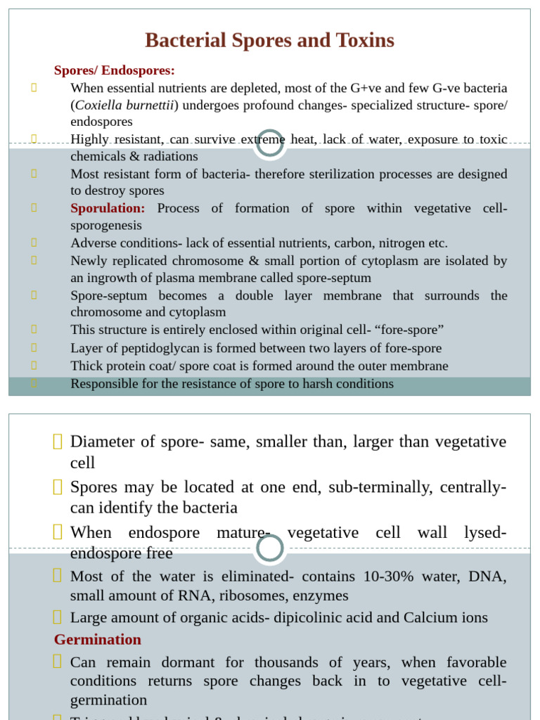 Bacterial Spores & Toxins (Lecture 13&14) | PDF