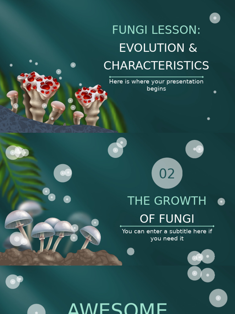 Fungi Lesson - Evolution & Characteristics by Slidesgo | PDF