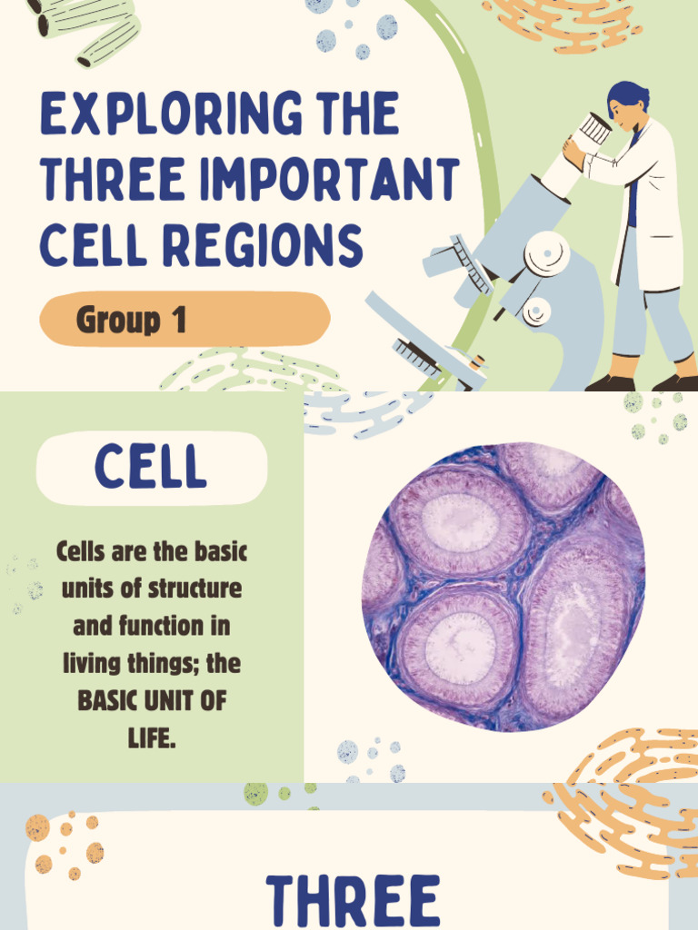 Thee Important Cell Regions 20240820 075421 0000 | PDF