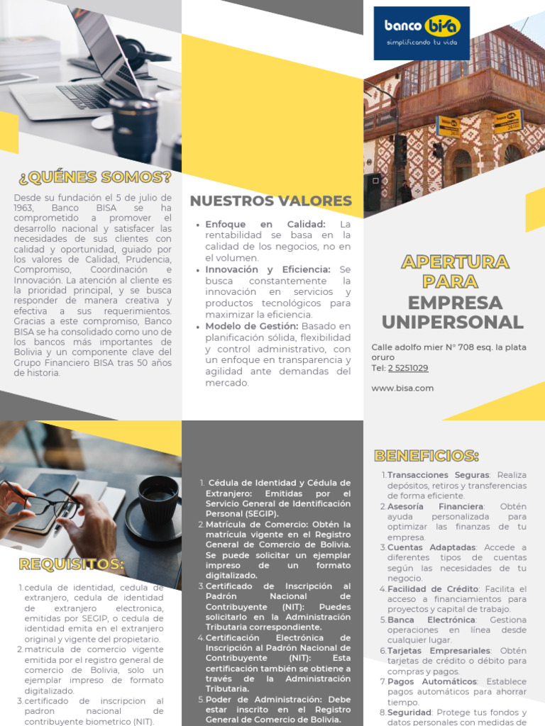 Folleto Brochure de Servicios Empresa Profesional Amarillo | PDF