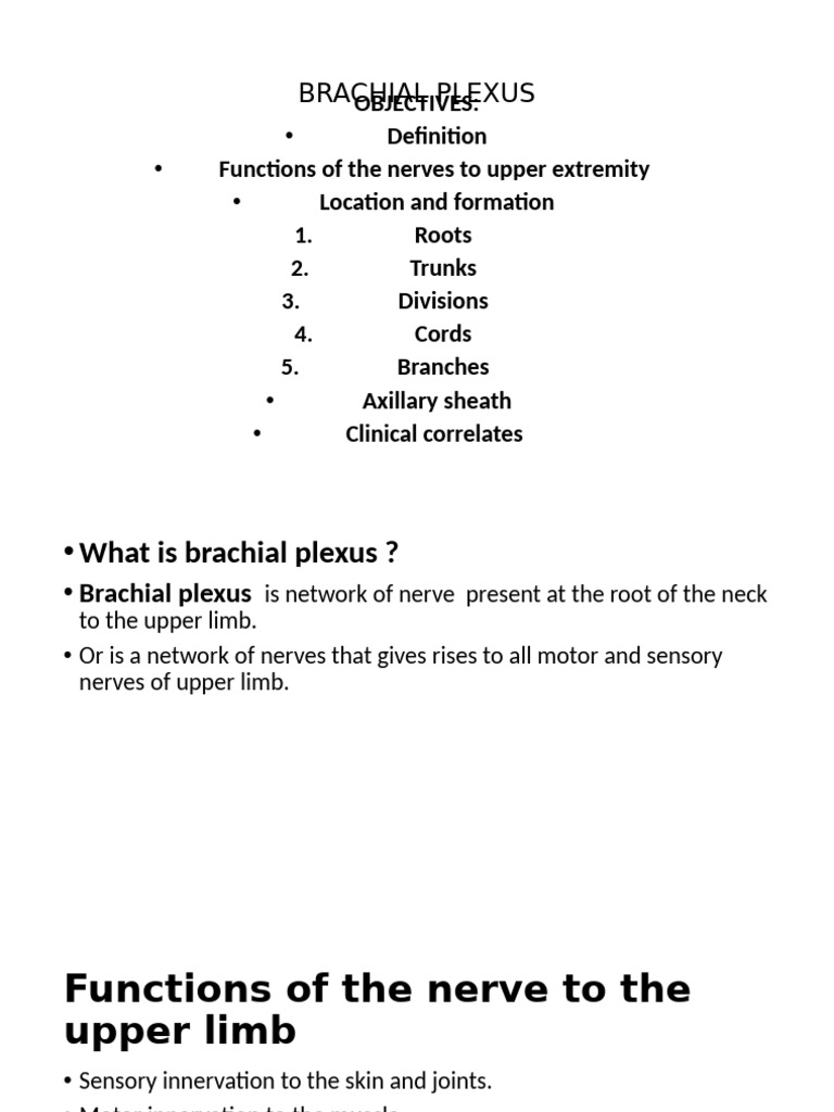Brachial Plexus | PDF