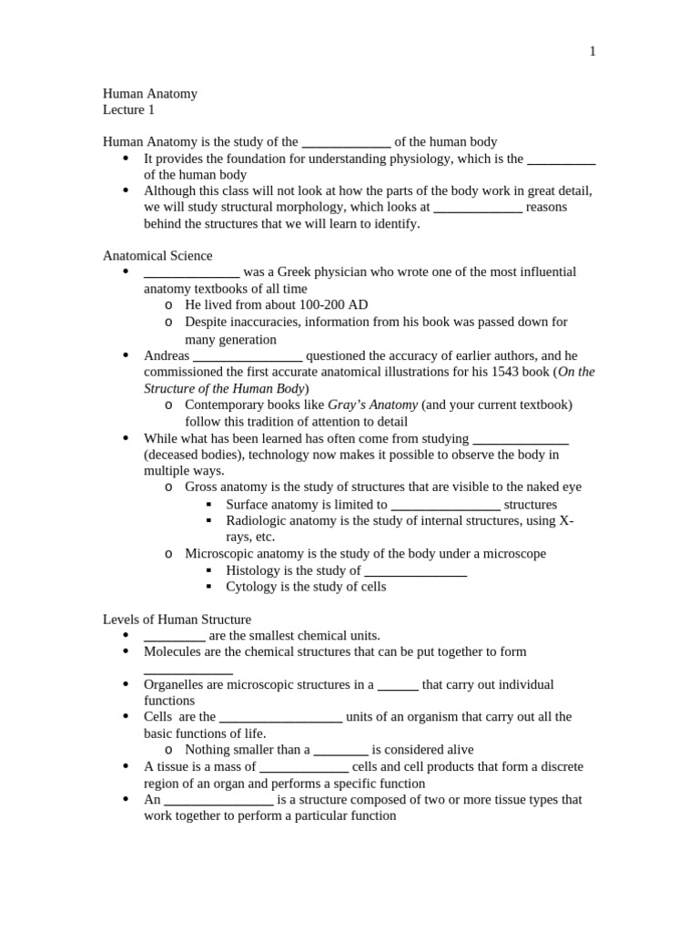 Anatomy Outline1-1 | PDF