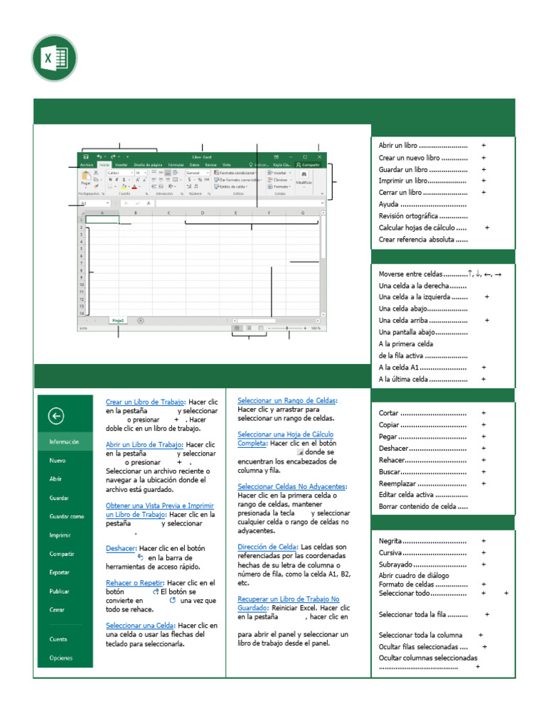 Excel Guia Rapida | PDF
