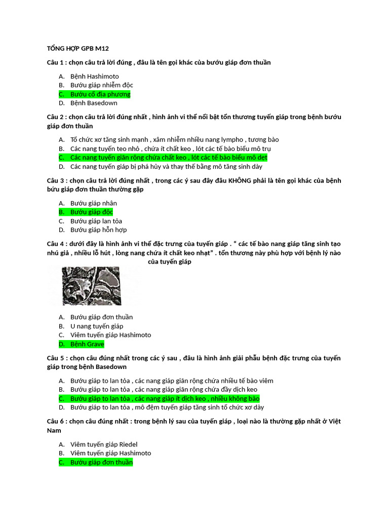 T NG H P GPB M12 | PDF