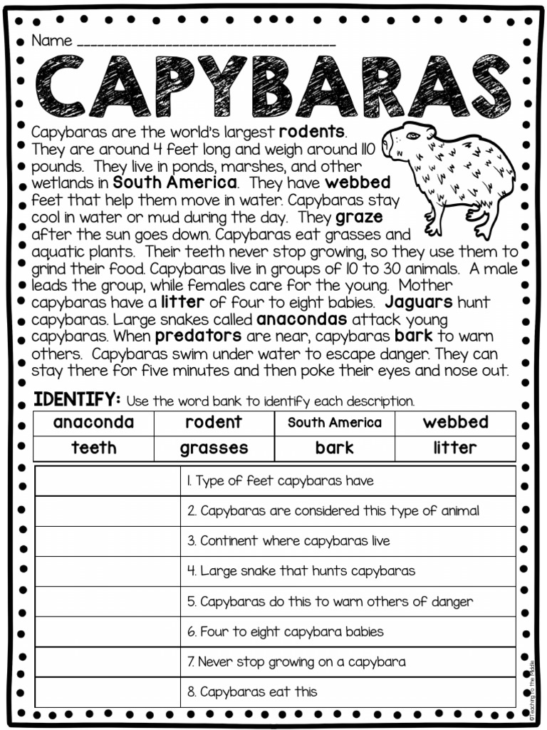 Capybaras Student Version BW | PDF