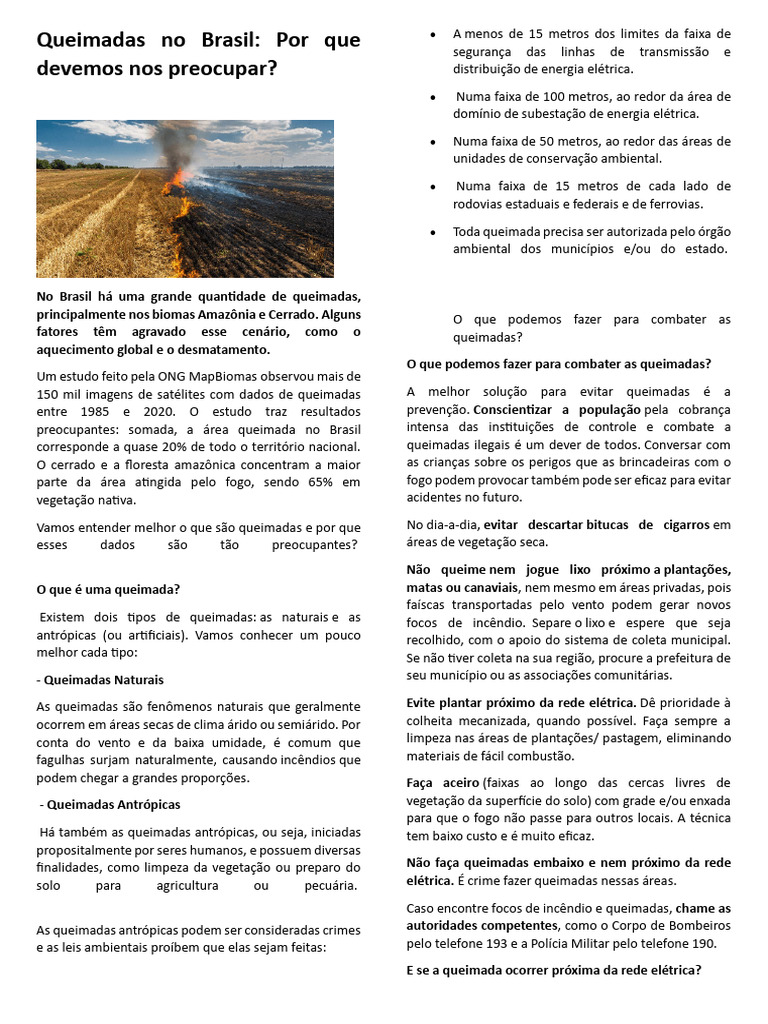 Queimadas No Brasil. Texto para Atividade em Grupo | PDF