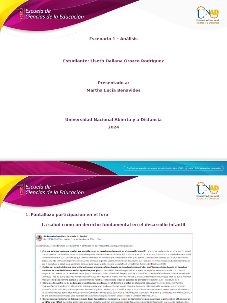 Anexo 1 - Formato Escenario 1 - Análisis | PDF