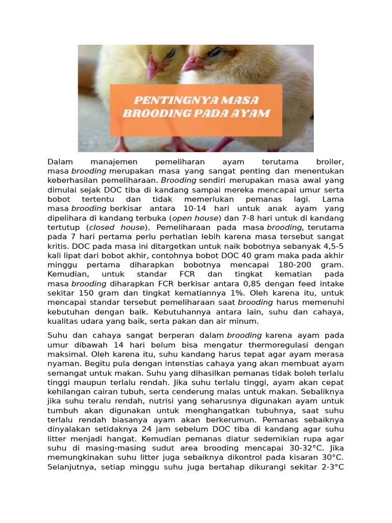 Materi Brooding | PDF | Wellness | Science & Mathematics