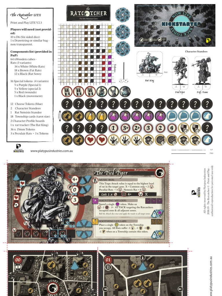 RC PNP Lite V2.3 | PDF