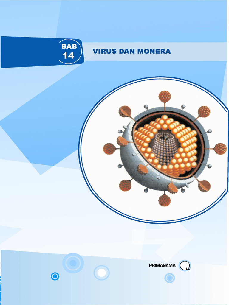 14 - Virus Monera | PDF | Microbiology | Home & Garden