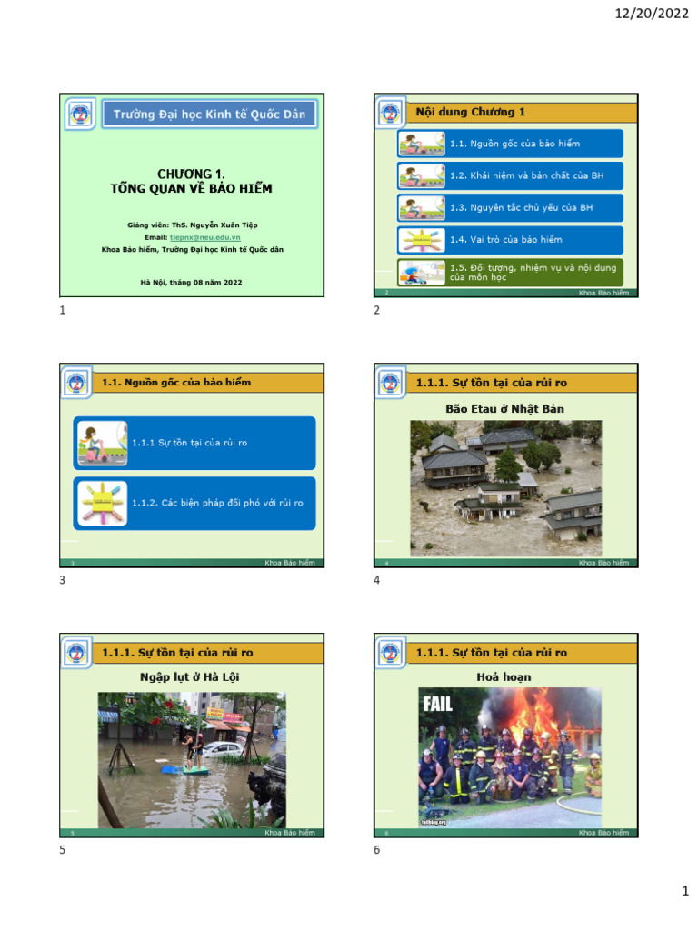 NLBH Chuong 1 Tong Quan Ve BH | PDF