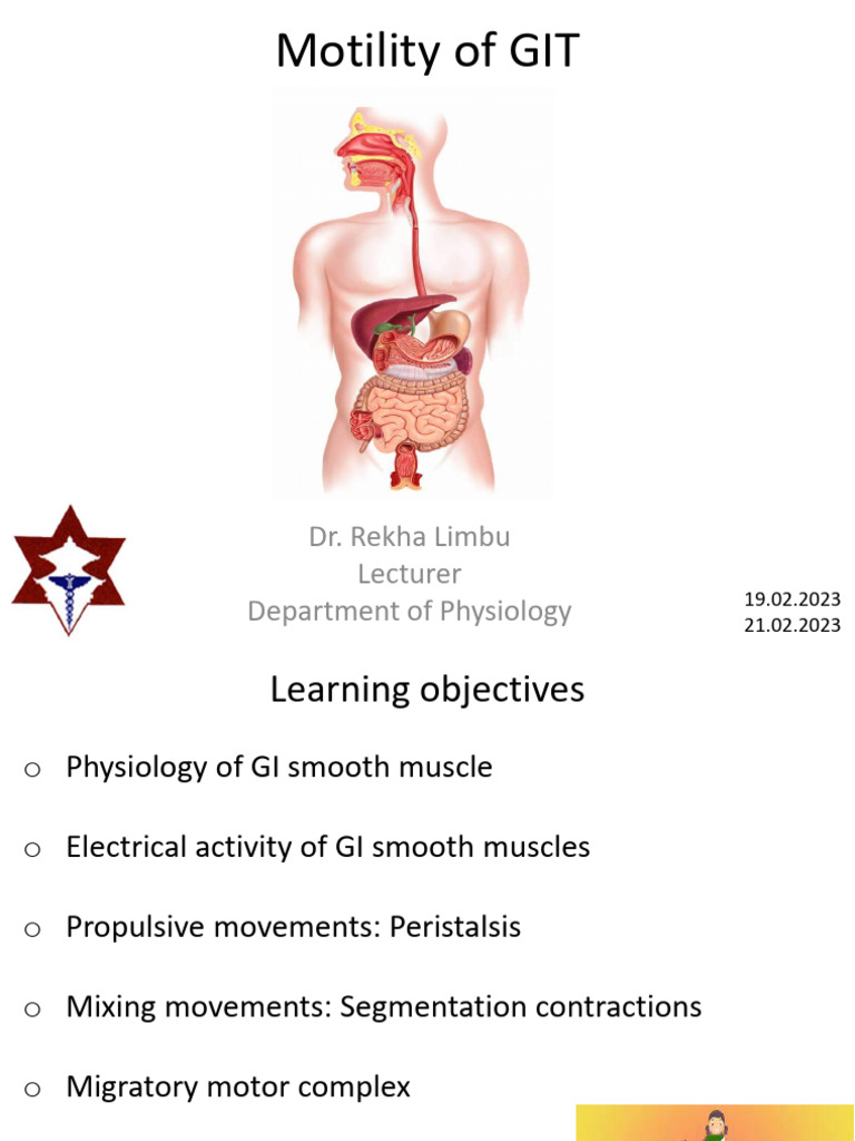 Motility of GIT | PDF