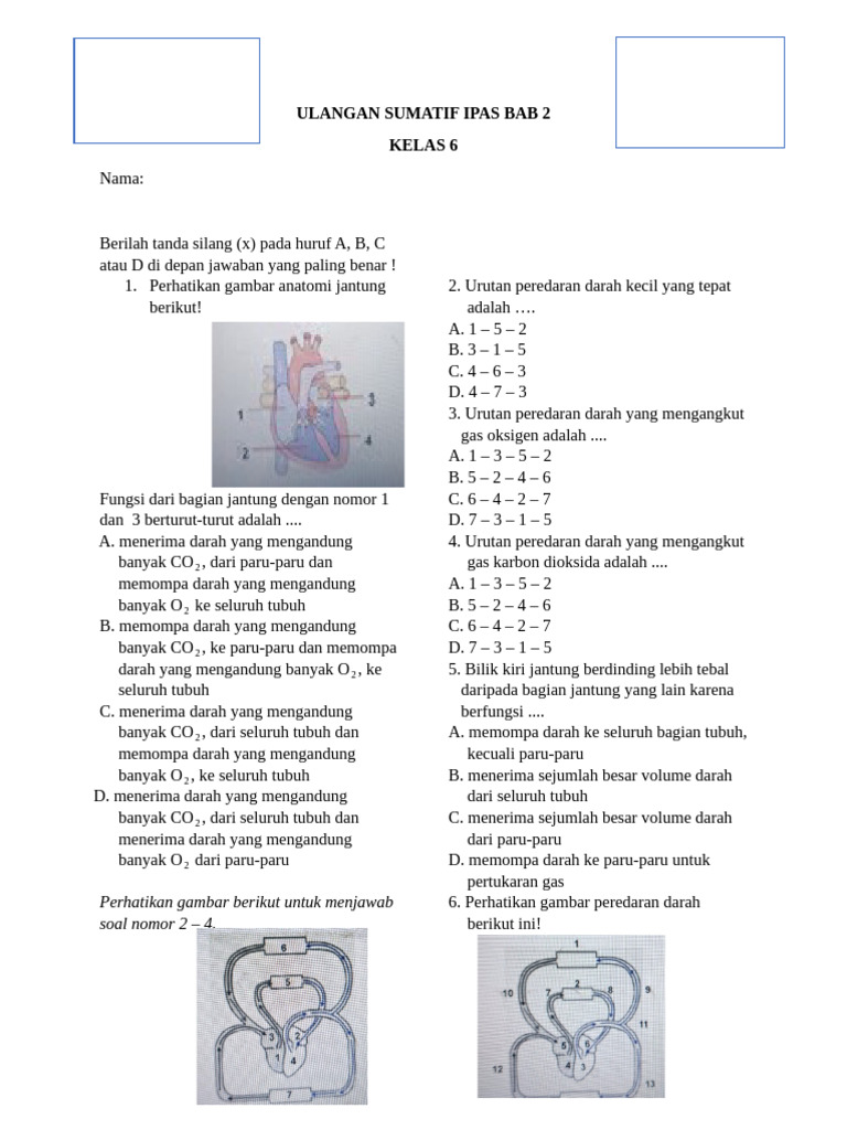 Ulangan Sumatif Ipas Bab 2 | PDF