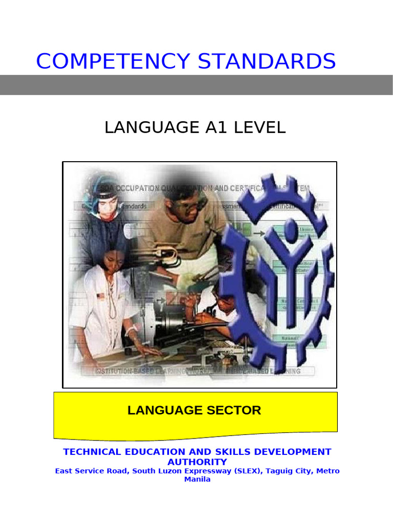 CS - Language A1 Level v2 Continue | PDF