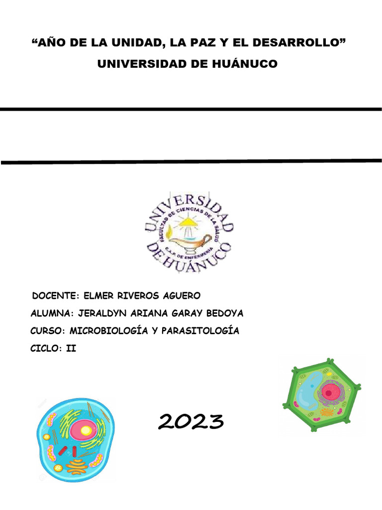 Micro Actividad 05 | PDF