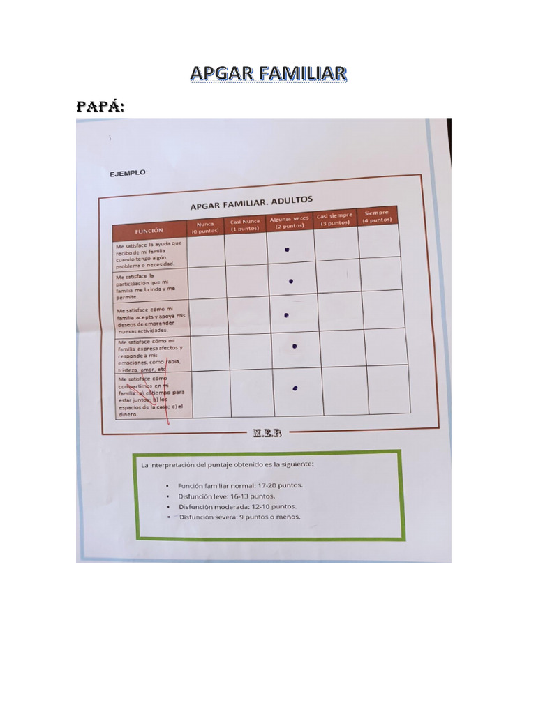 Apgar Familiar | PDF