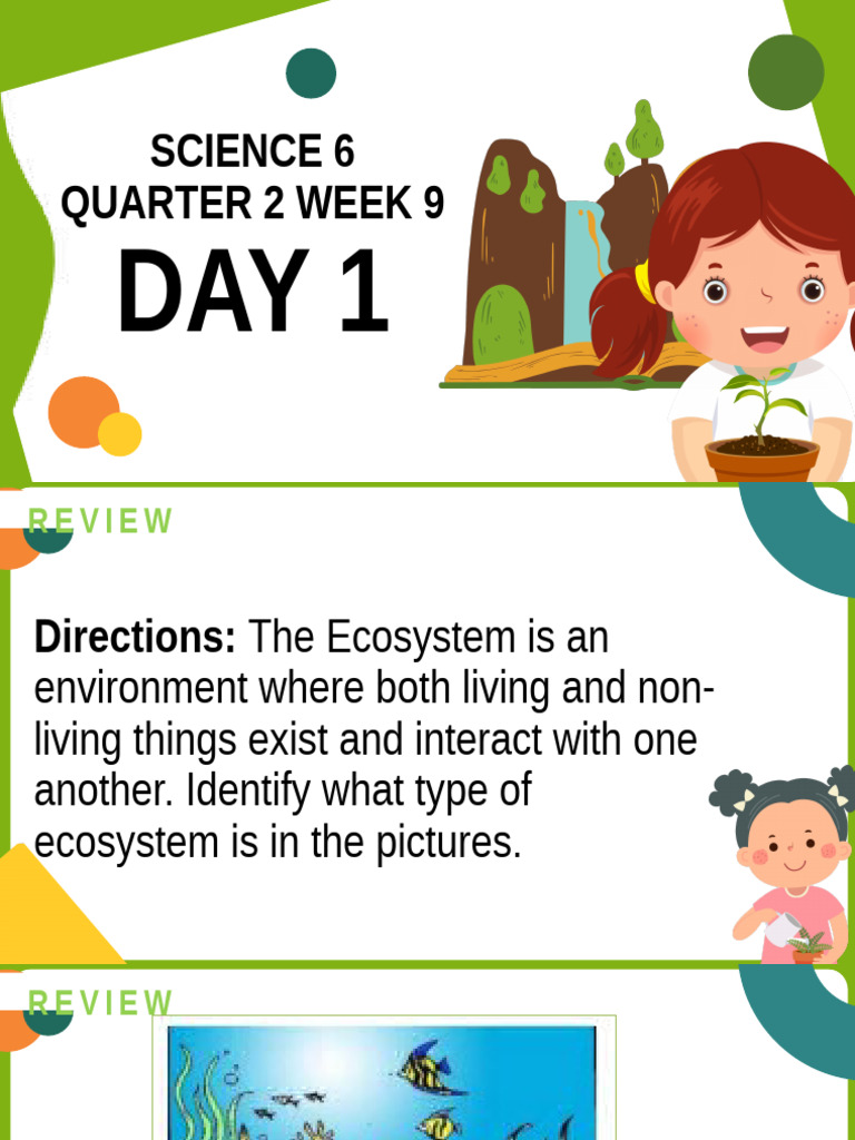 g6q2 Week 9 Science | PDF