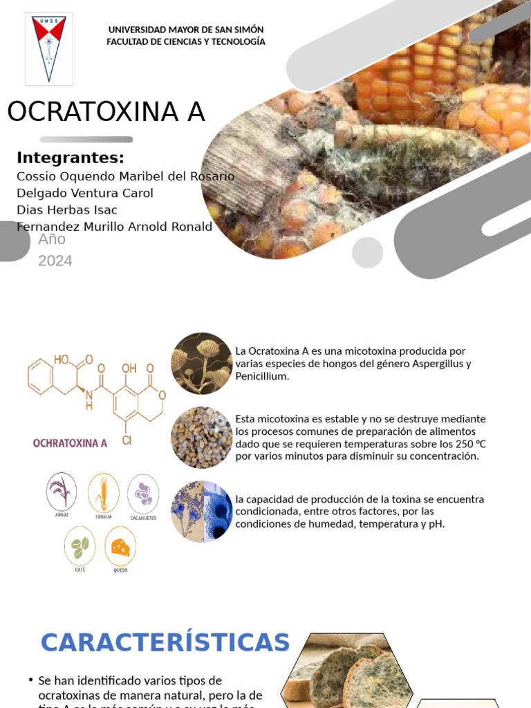 Grupo A.grupo 4. Ocratoxina A | PDF