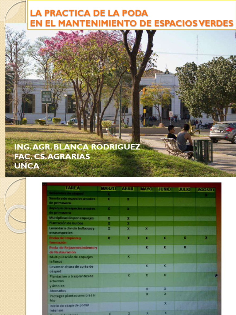 Teorico de Poda (2 | PDF