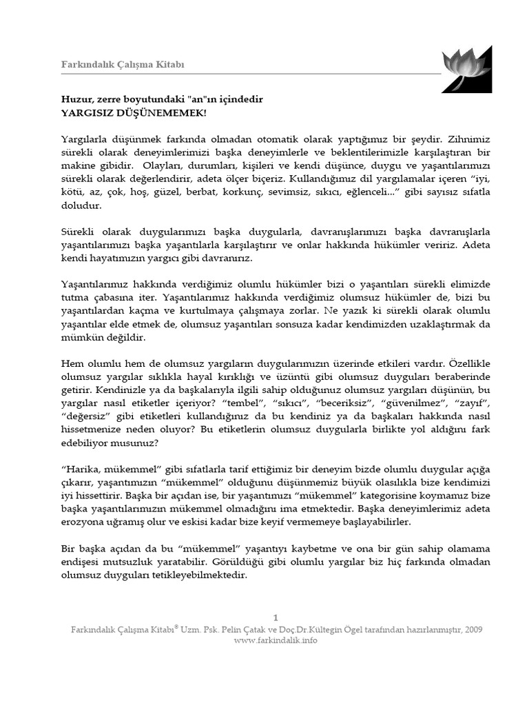 Yargisiz Dusunmek | PDF