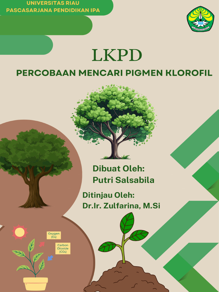 Klorofil Pada Daun - 20240626 - 184031 - 0000 | PDF