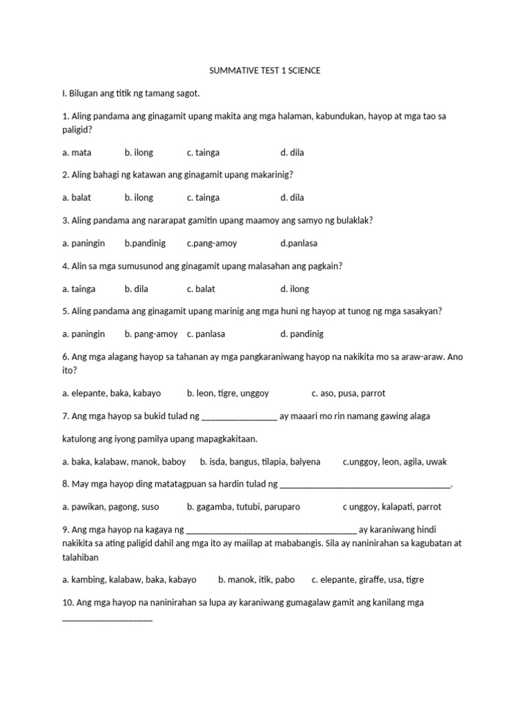 Summative Test 1 Science | PDF