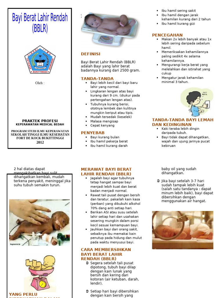 Leafleat BBLR Desberti | PDF