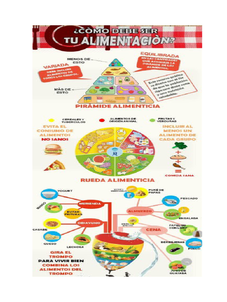 El Color De Los Alimentos Pdf