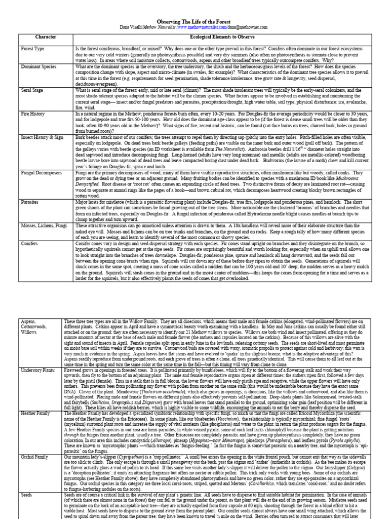 18-Observing The Forest | PDF