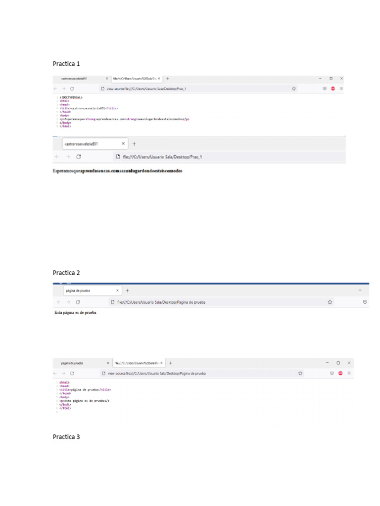 Diseño_practica html | PDF