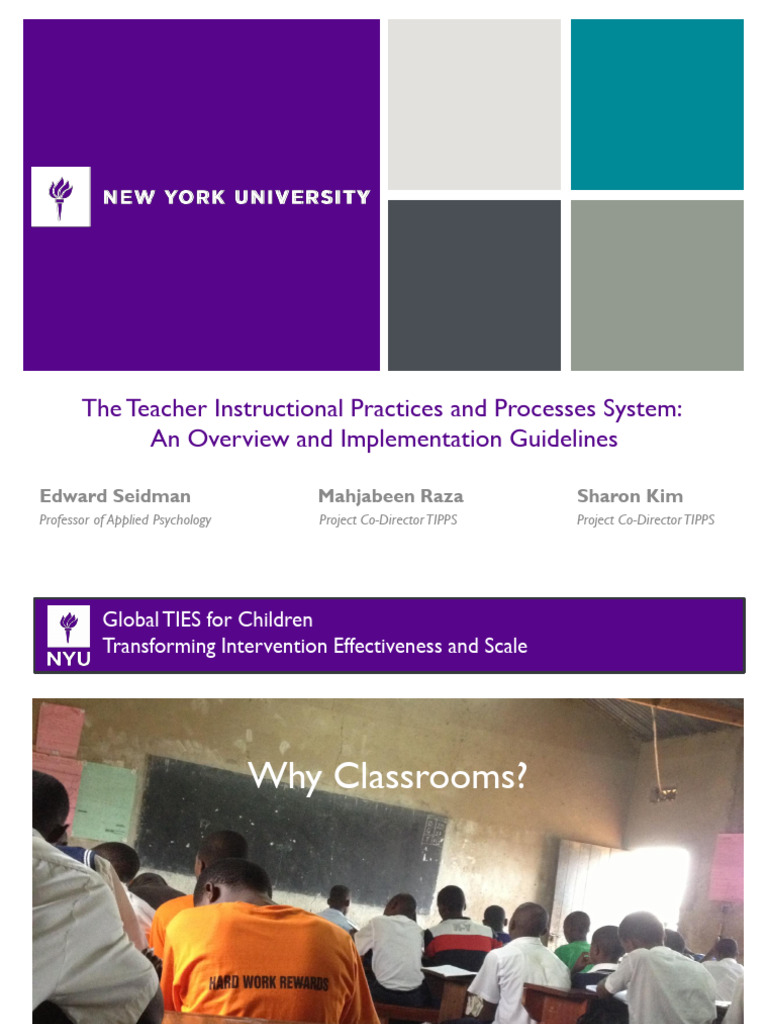 Teacher Instructional Practices and Processes System | PDF