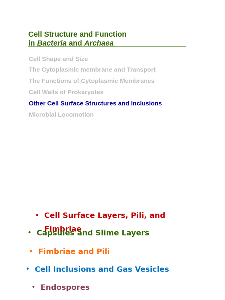 5 Cell Structure and Function in Bacteria and Archaea 3 September 27 ...