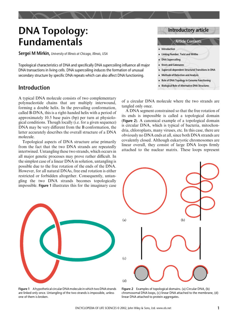Mirkin 2001 | PDF