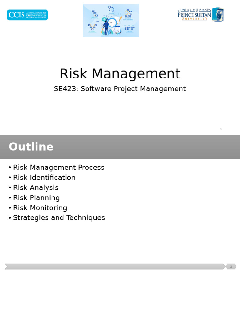 Risk Management | PDF