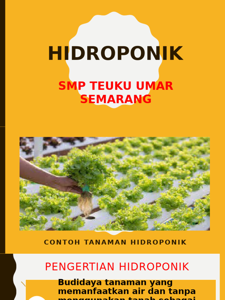 Materi P5. Hidroponik | PDF