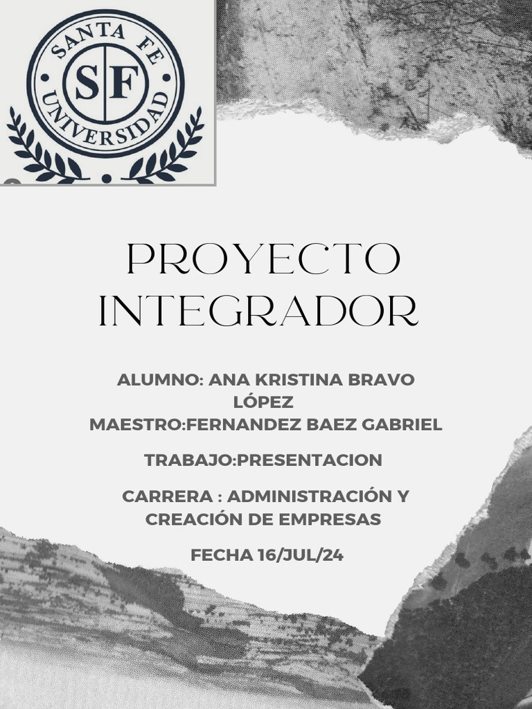 Proyecto Integrador | PDF