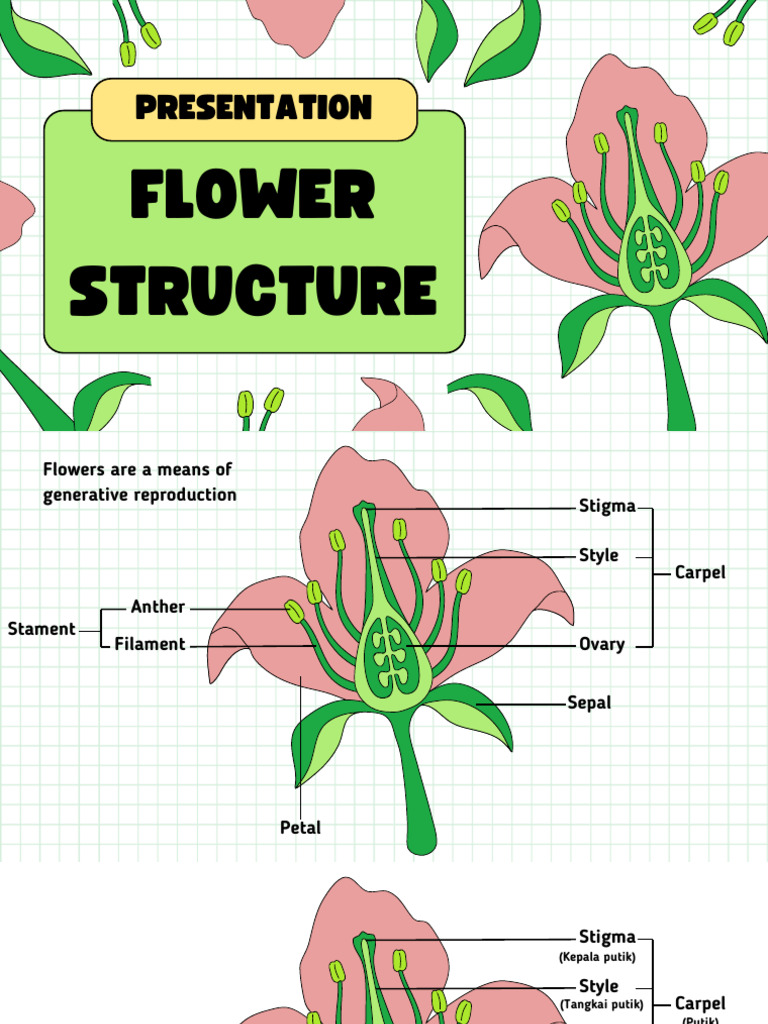 Part of Flower | PDF