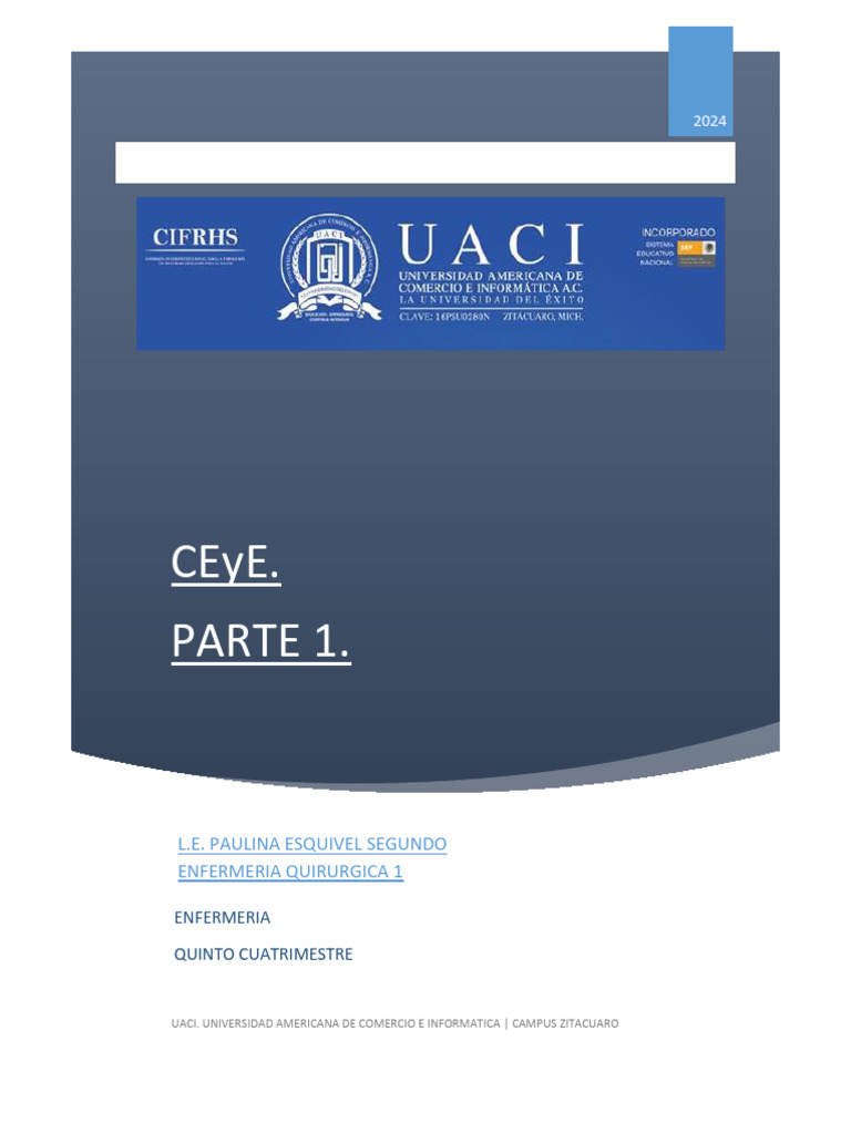 Ceye 1 | PDF