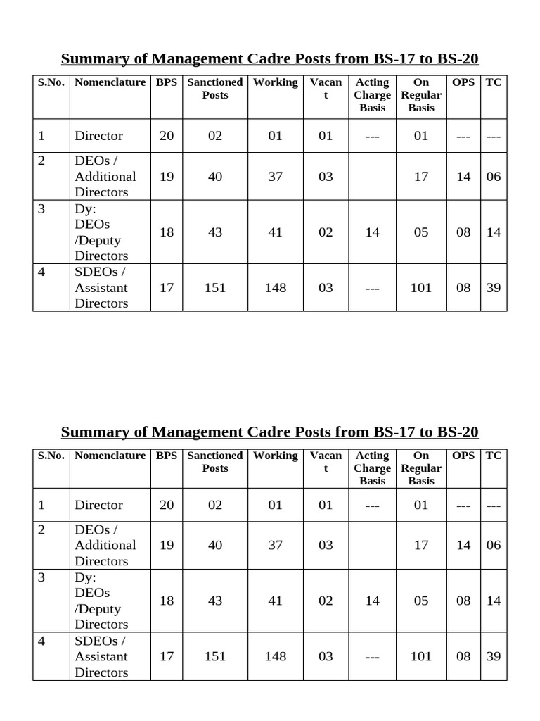 Summary of Management Cadre Posts From BS-17 To BS-20 | PDF