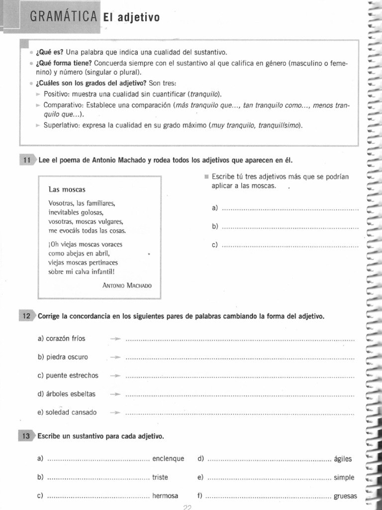 Grama El Adjetivo 01 | PDF